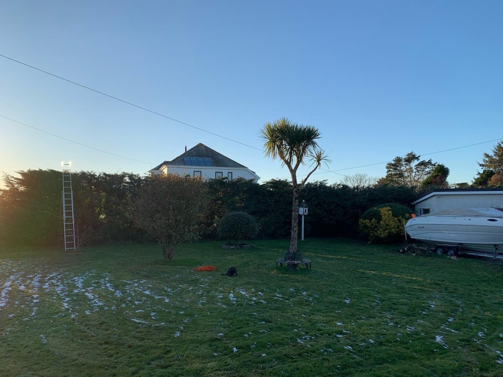 Gallery – Green Man Treeworks – Tree Surgery in Cornwall