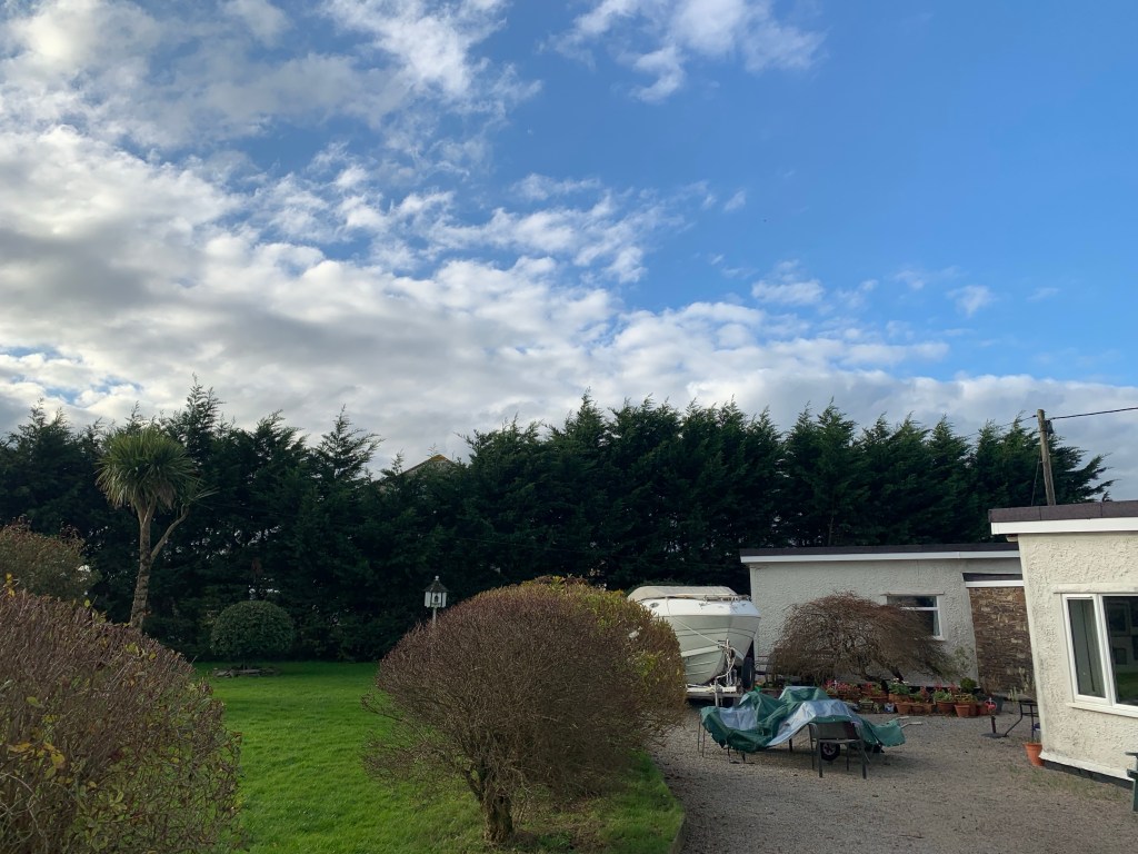 Gallery – Green Man Treeworks – Tree Surgery in Cornwall