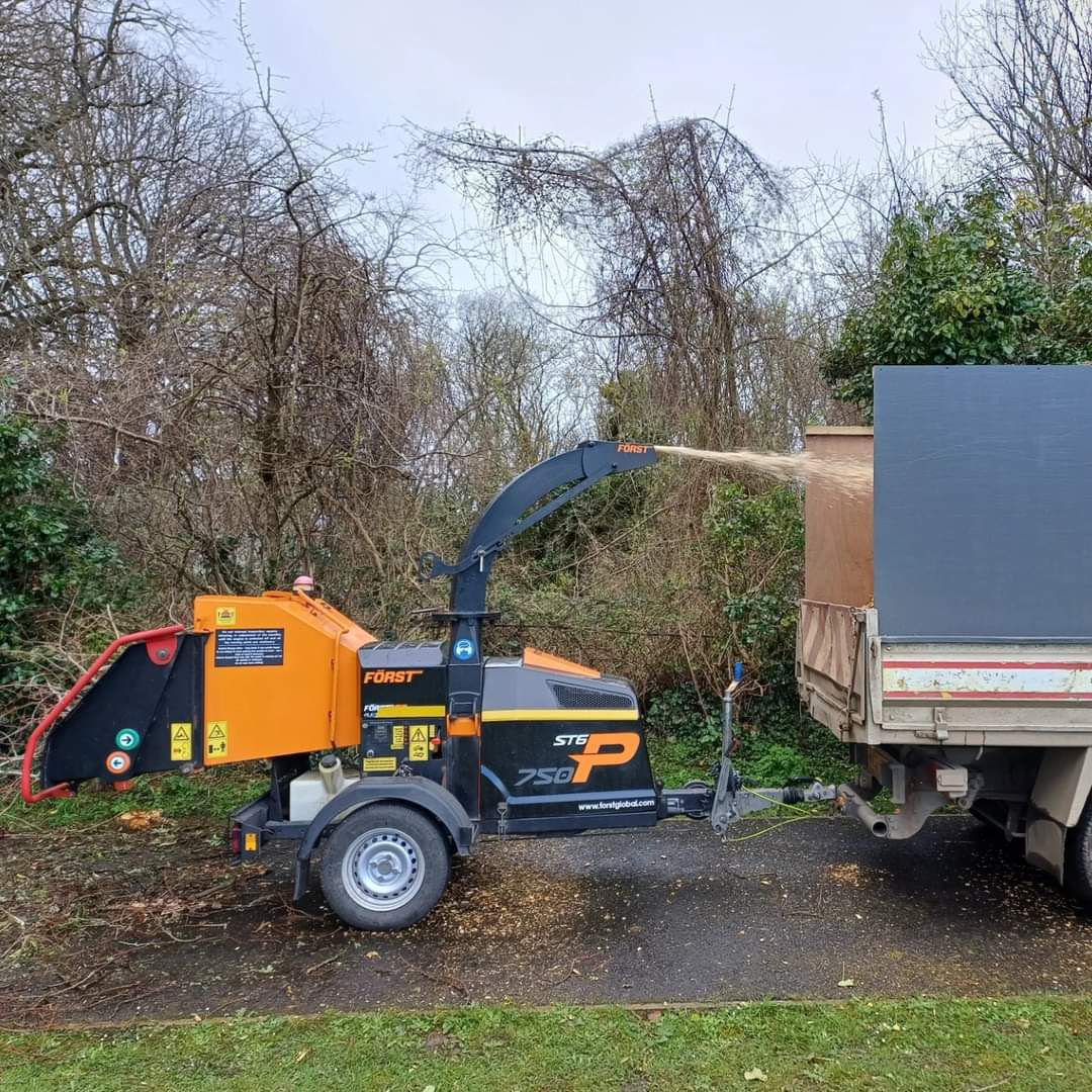 Gallery – Green Man Treeworks – Tree Surgery in Cornwall